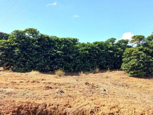 Fazenda