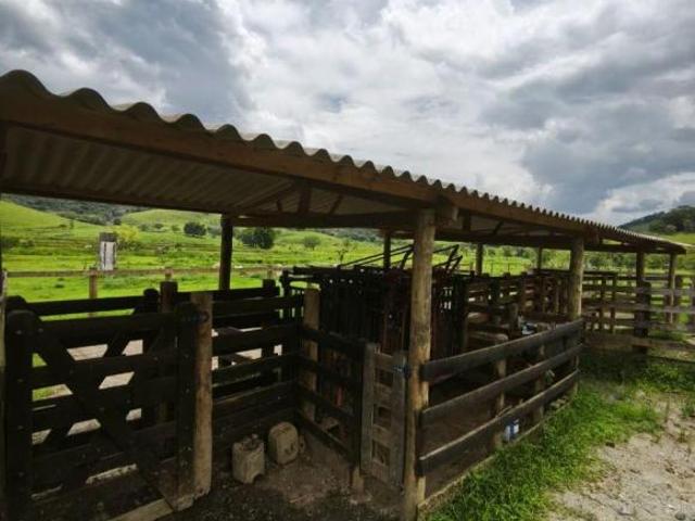 FAZENDA 48 ALQ / 40 ALQ PASTOS R$. 5.700.000,00 MILHÕES DE REAIS É PORTEIRA FECHADA