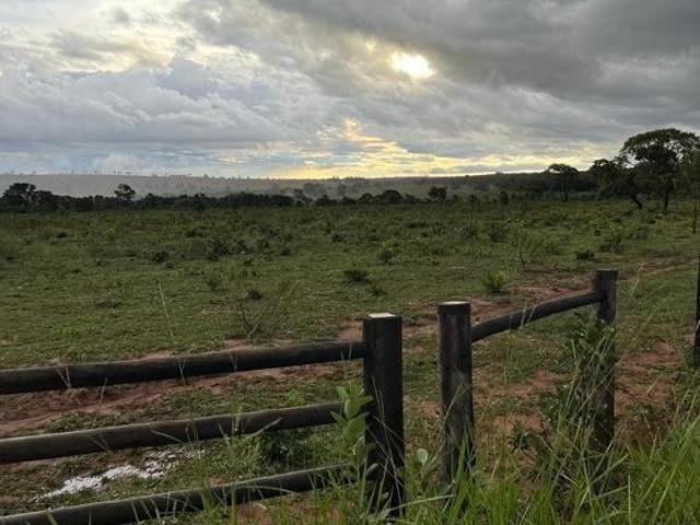 FAZENDA 306 HECTARES PECUARIA EM Corquinho M/S
