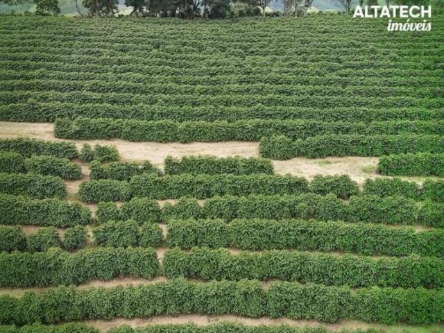 Fazenda 48,4 ha à venda em Roseira, Bandeira do Sul