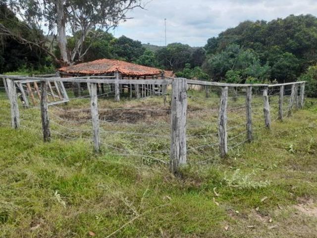 Fazenda 48,4 hectares localizada após Barrocão/Francisco Sá/MG