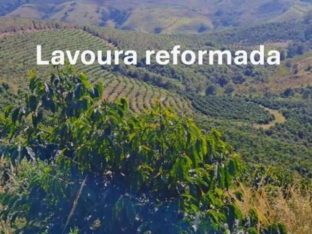Fazenda