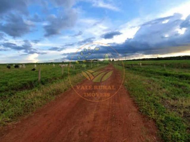 Fazenda