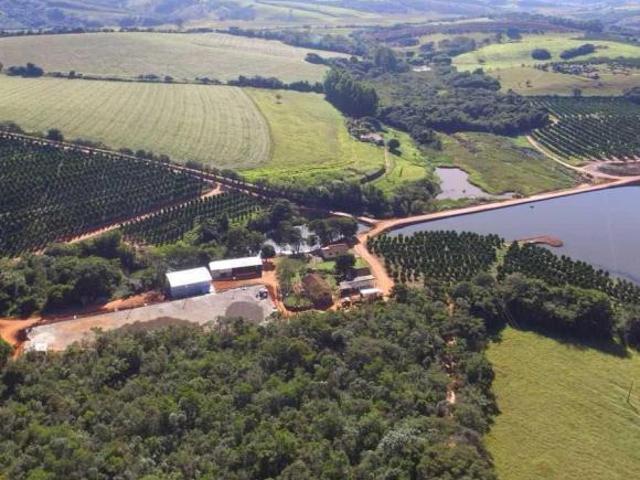 Fazenda para venda em Centro, Cambuquira