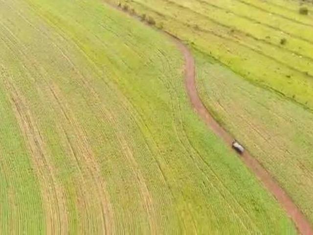 Fazenda