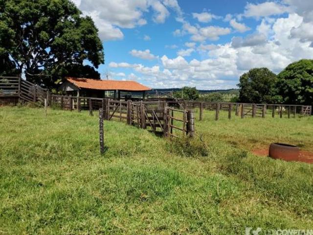 Fazenda