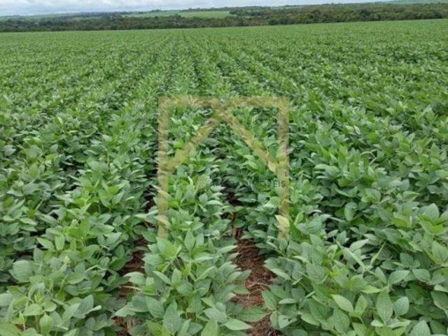 Fazenda