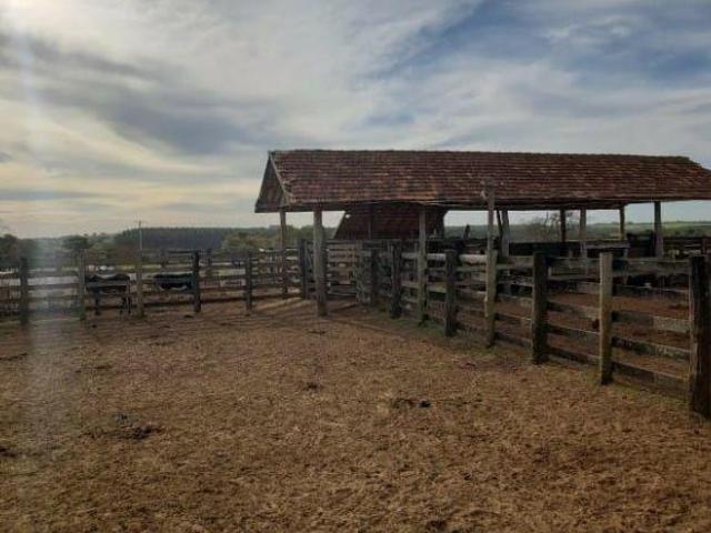 Fazenda 400 Alqueires em Martinópolis SP | Dupla Aptidão