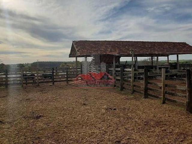 Fazenda 400 Alqueires em Martinópolis SP | Dupla Aptidão