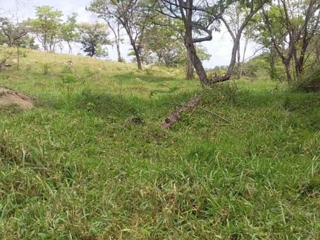 Fazenda