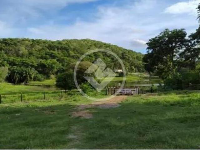 Fazenda 406 alqueires toda na pecuária formada toda no corredor