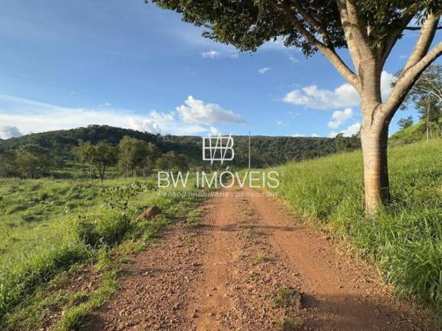 Fazenda para venda em Centro, Jaraguá