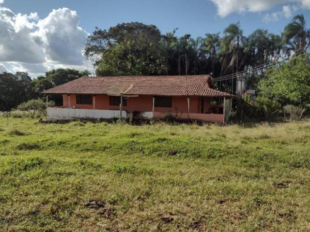 Fazenda 40,8 hectares as margens da rodovia