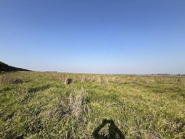 Fazenda
