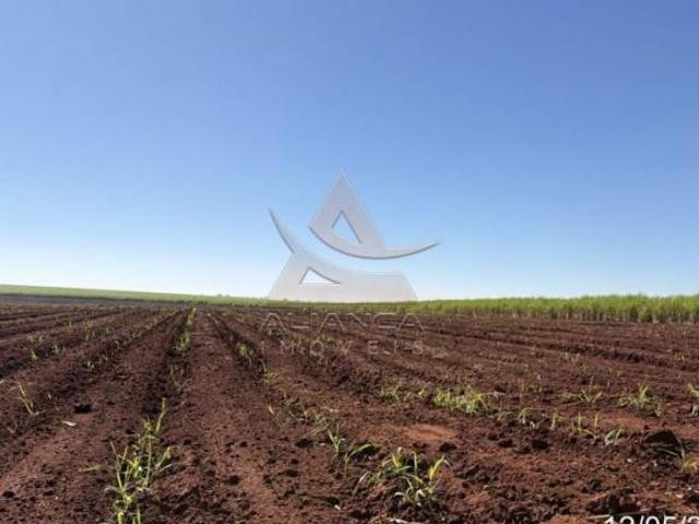 Fazenda