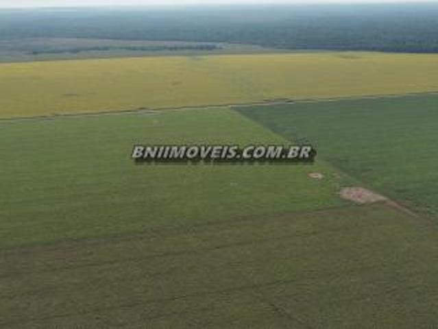 Fazenda