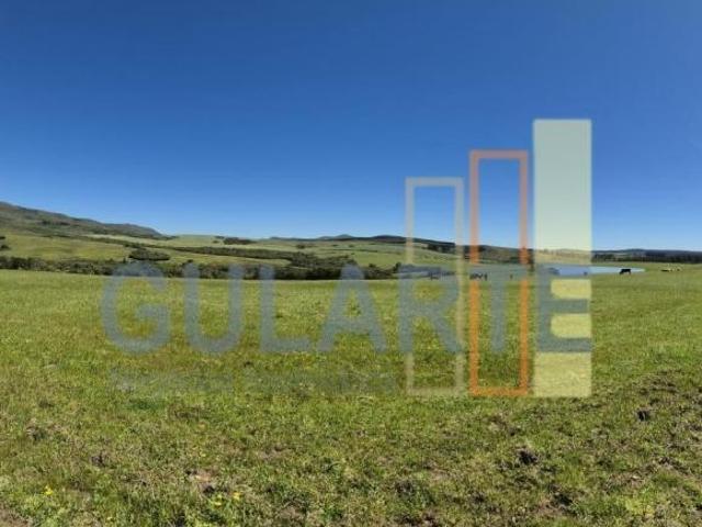Fazenda