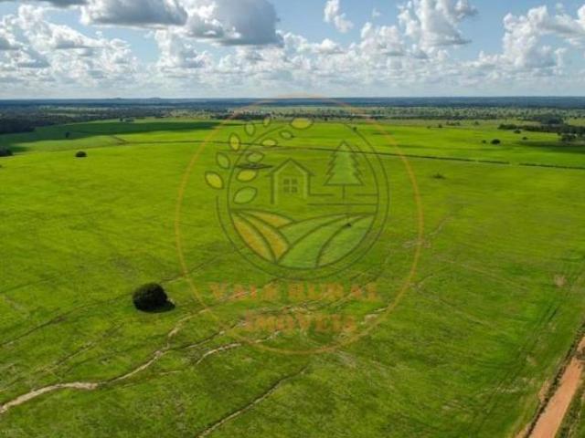 Fazenda