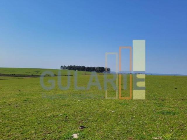 Fazenda