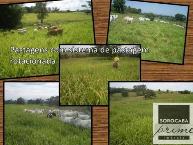 Fazenda