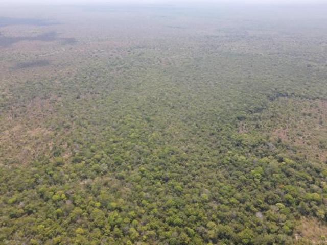 Fazenda