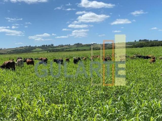 Fazenda