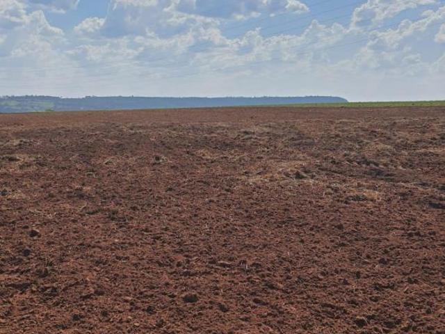 Fazenda