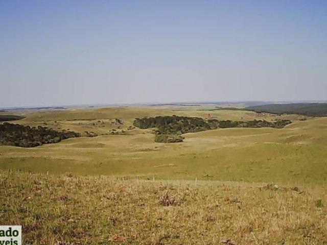 Fazenda