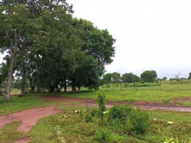 Fazenda