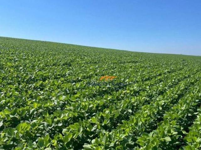 Fazenda