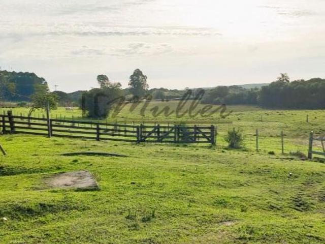 Fazenda