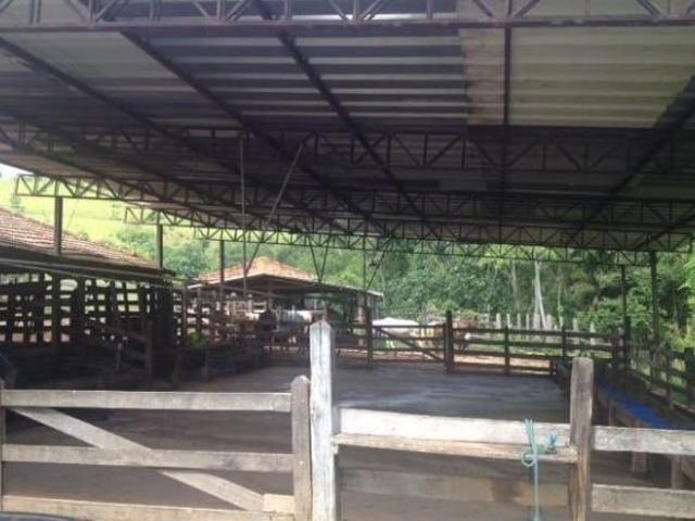 Fazenda