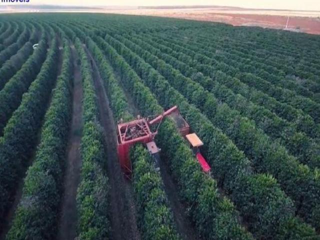 Fazenda