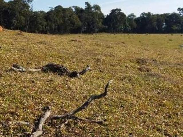Fazenda