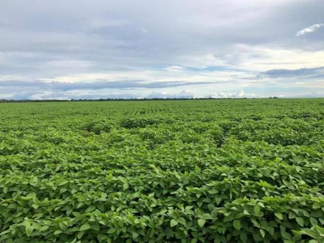 Fazenda