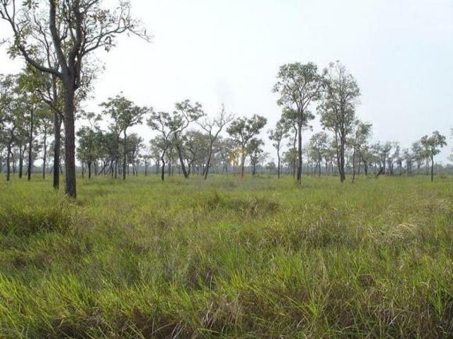 Fazenda 4.682 ha no MS: Margem Rio Paraguai e Rodovia BR 262