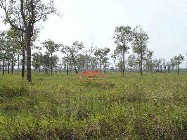 Fazenda 4.682 ha no MS: Margem Rio Paraguai e Rodovia BR 262