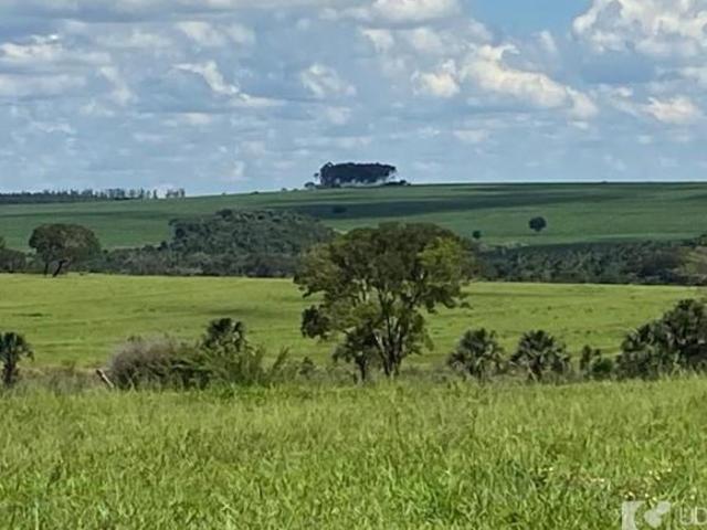 Fazenda
