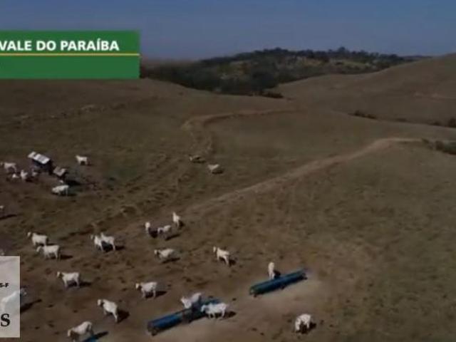 Fazenda