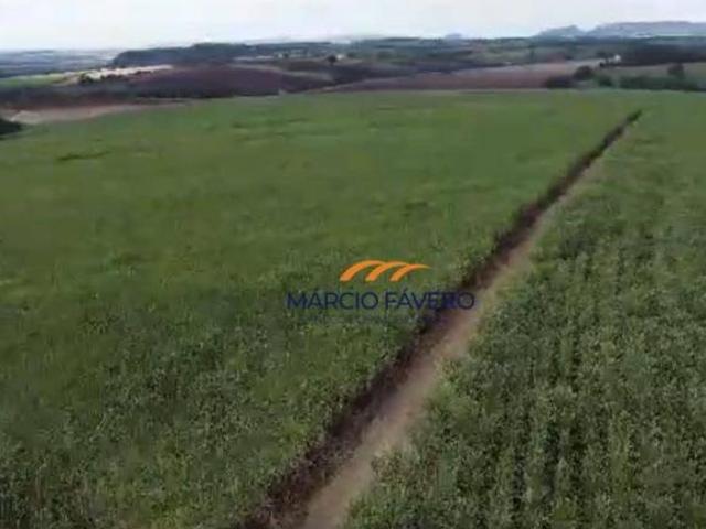 Fazenda