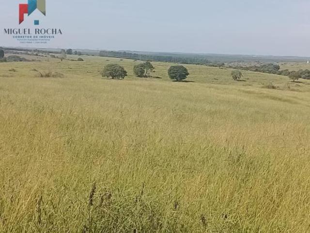 Fazenda