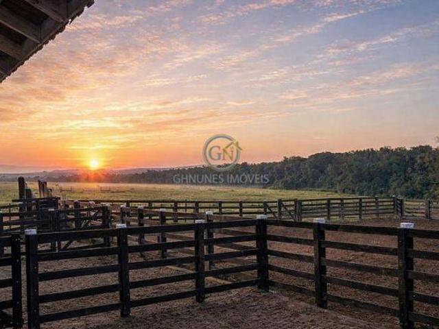 Fazenda 552 Alqueires à Venda em Pontal do Araguaia MT