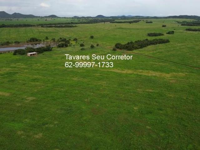 Fazenda