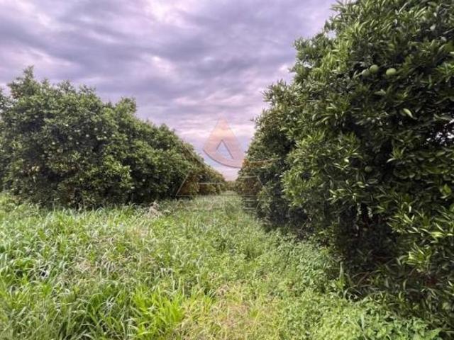 Fazenda