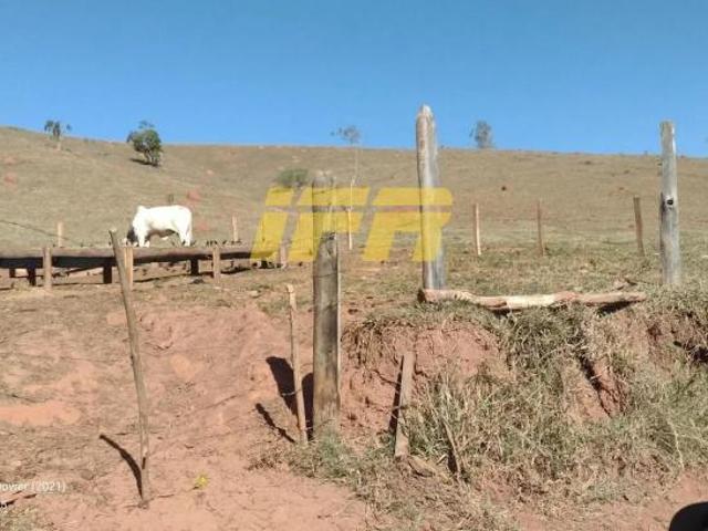 Fazenda