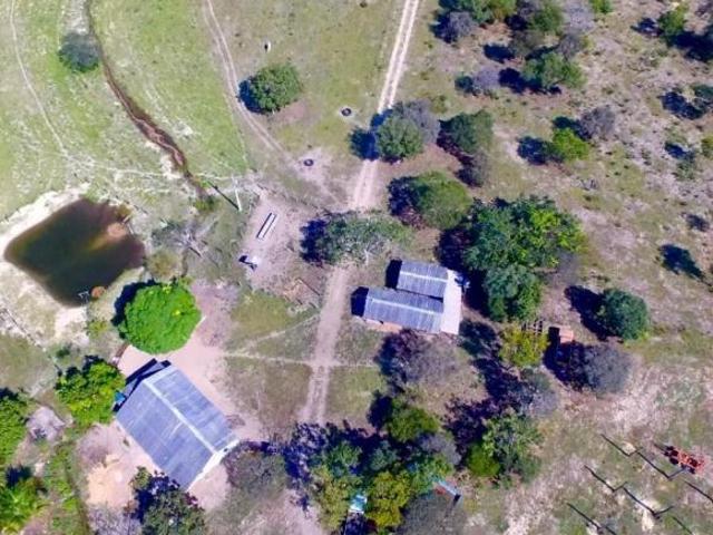 Fazenda