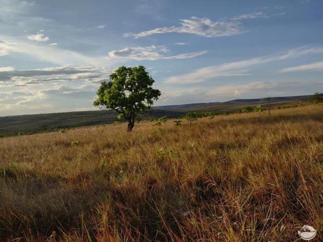Fazenda