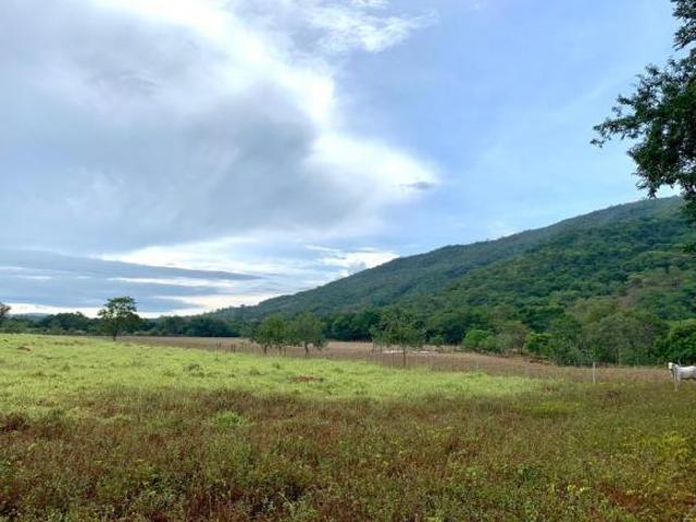Fazenda 56 hectares localizada em Felixlandia/MG