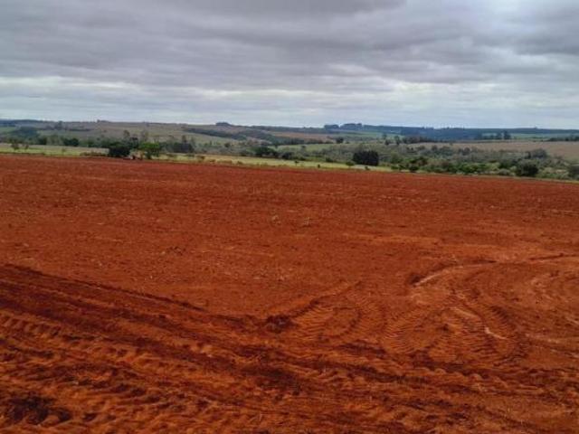 Fazenda 56alqueire Casa sede 100 metros de área construída Com varanda Casa de caseiro 60 metrôs 2