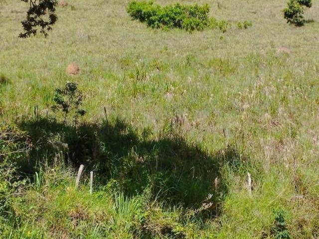 Fazenda